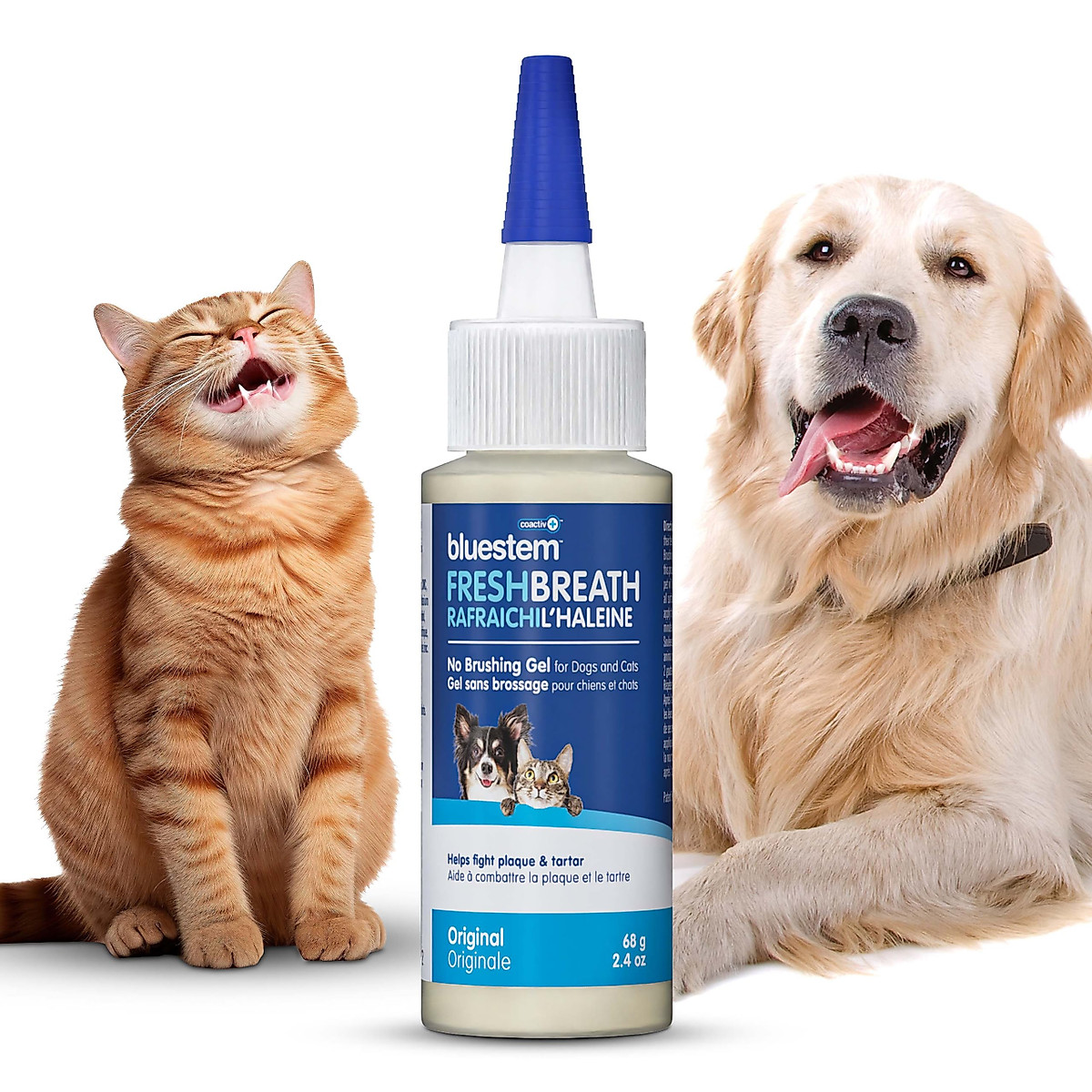 bluestemTM No Brush Dog Dental Gel - Dog Oral Gel to Freshen Breath, and Fights Plaque and Tartar - Brushless Toothpaste for Dogs