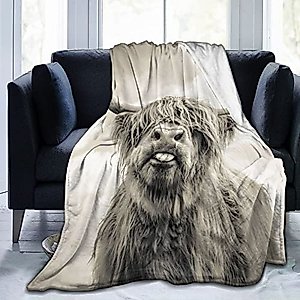 Highland Cow Blanket Cattle Cow Portrait Flannel Throw Blanket for Living Room Couch Bed Sofa Kids Adults All Seasons 80"x60"