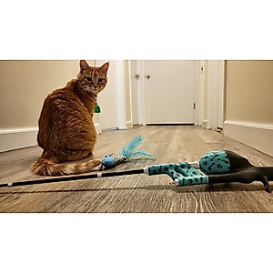 Cat Caster Fishing Pole Toy | Tangle Free, Retractable & Easy to Store. Includes Two Interchangeable Teaser Toys | The Ultimate Gift for Kitty Lovers, Fish Bone