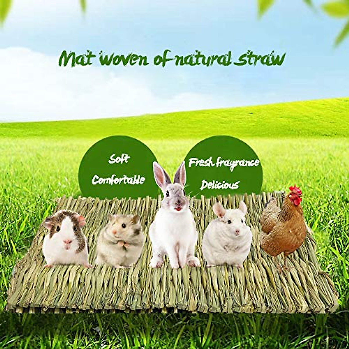 kathson 6 PCS Rabbit Large Grass Mat Natural Grass Woven Mat Rabbits Chew Toys Grass Bedding Nest for Small Animal Bunny Rabbit Guinea Pigs Hamster Chinchillas Puppy Biddy Sleeping Chewing