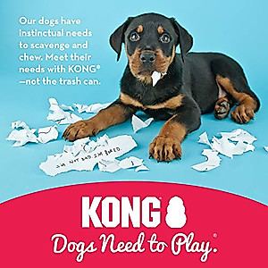KONG - Puppy Toy Natural Teething Rubber - Fun to Chew, Chase and Fetch - Blue, for Medium Puppies
