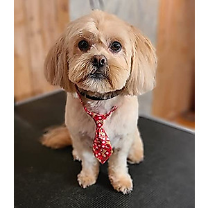 JpGdn 20PCS Christmas Small Dog Neckties Xmas Ties Bulk for Small Medium Girl Boy Puppy Doggy Kitten Bunny Rabbit Adjustable Pet Ties Grooming Costumes Accessories for Festival Holiday