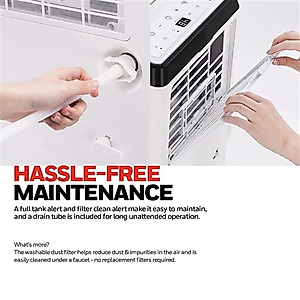 Honeywell 50 Pint Dehumidifier for Apartment and Basement, 115V, Dehumidifiers for Home and Rooms up to 3500 Sq. Ft. with Energy Star Rating, Mirage Display, Washable Filter, and Change Filter Alert