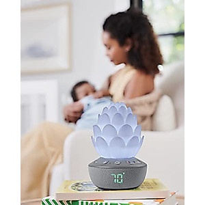 Skip Hop Baby Sound Machine, Cry Activated, Succulent Glow Soother, Grey White