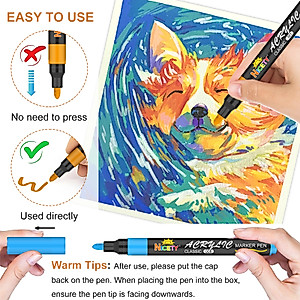 NICETY 100 Colors Acrylic Paint Pens Paint Markers, 3mm Medium Tip Paint Markers for Rock Painting, Canvas, Wood, Stone, Ceramic, Glass, Fabric, DIY Crafts & Art Supplies