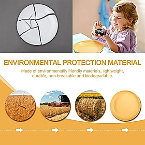 OAMCEG 12 Pack Plastic Plates Reusable 9 Inches Unbreakable Eco-Friendly Lightweight Wheat Straw Plates, Salad Plates, Camping Plates, Dinner Plates, Dishwasher & Microwave Safe, BPA FREE