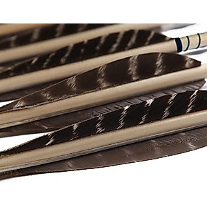 Huntingdoor 12 Pcs Turkey Feather Fletching Wooden Arrows Archery Target Arrows with Field Points for Recurve Bow or Longbow Targeting Practice Shooting (NATURE)