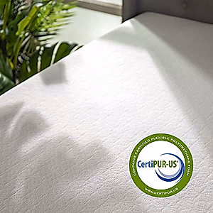 Zinus 10 Inch Green Tea Memory Foam Mattress/CertiPUR-US Certified, Queen & Shalini Upholstered Platform Bed Frame/Mattress Foundation/Wood Slat Support, Dark Grey, Queen