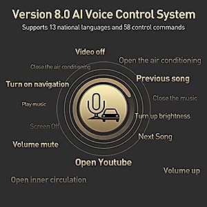 YULU E10 Car Radio Stereo for Ford Explorer 2013 to 2019 Android 10.0 T-Style Head Unit Navigation 12.1 Inch IPS Touchscreen Build in Wireless Carplay Bluetooth WiFi Support DSP Sirius