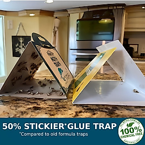 2024 All-New Moth Traps - Multi 4 Pack Bundle (2 Pantry and 2 Clothes) Magic Moth Catch, Safe & Odor-Free Protect Kitchen, Wardrobe, Closet