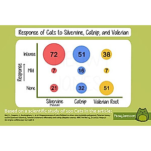 Meowy Janes Silver Vine for Cats - 45 Grams of Powder - All Natural Catnip Alternative