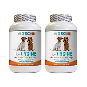 Digestive enzymes for Dogs - Dog LYSINE Powder - Pure Powder Form - Immune System Support - Vet Recommended - Dog Amino Acid Supplements - 2 Bottle (16oz 453.6 Grams)