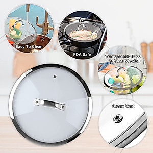 Duxtop Cookware Glass Replacement Lid (Interior Diameter: 11inch, Exterior Diameter: 11-1/2inch)