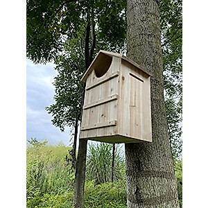 Sundia Screech Saw Whet Owl Kestrel Flicker Barn Large Big Bird Nesting Wooden Box Resident Habitant House (D100)