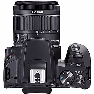 EOS Rebel SL3 DSLR Camera with EF-S 18-55mm f/4-5.6 is STM and EF 75-300mm f/4-5.6 III Lens + Accessory Bundle Kit (Flash, Travel Charger, Extra Battery, and More)