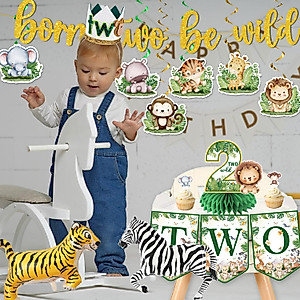 Cocomigo Two Wild Birthday Decorations Boy Two Safari Baby Shower Decorations Two Year Old Birthday Decorations 2 Year Old Birthday Decorations Boy Jungle Safari Animal 2nd Birthday Decorations