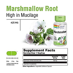 SOLARAY Marshmallow Root, Healthy Respiratory Function & Digestion Support, Non-GMO & Vegan | 100 VegCaps