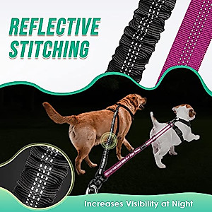 AUTOWT Two Dog Lead, 2 in 1 Upgraded Double Dog Leash Attachment Combine Adjustable Strap and Shock Absorbing Bungee No Tangle Dual Training Splitter for Different Size Dogs