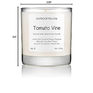 Outdoor Fellow Tomato Vine Luxury Scented Candle, 40+ Hour Burn Time, Coconut & Apricot Wax Blend, Best Smelling Luxury Tomato Candle for Home, (8oz)