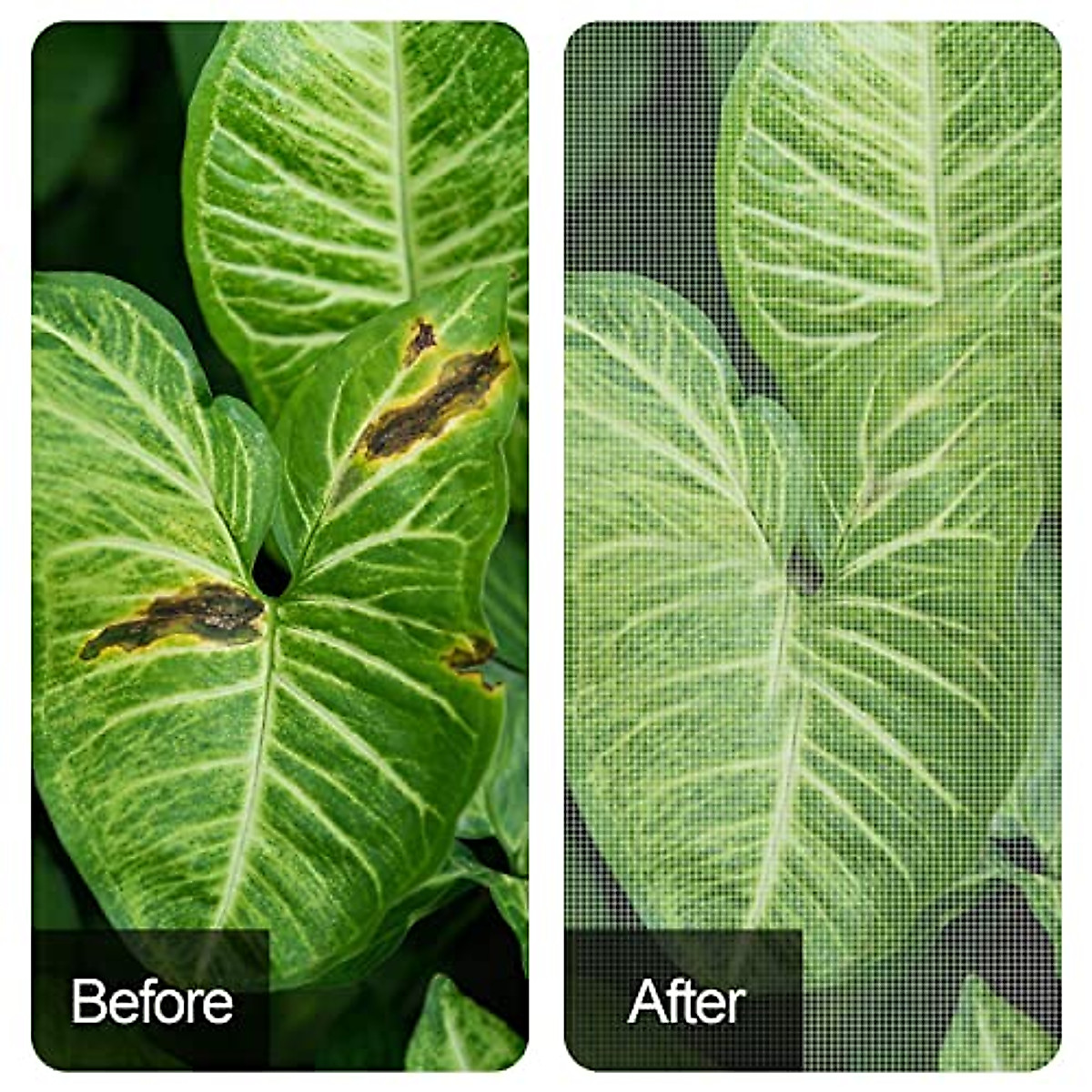 PURPLE STAR 1N 6.5 x 8.2 Feet Insect Bird Barrier Netting Mesh with Drawstring -Garden Bug Netting Plant Cover for Protect Plant Fruit Flower from Insect Bird