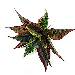 CATTREE Fake Plants Artificial Plant Outdoor Shrubs Faux Grass Plastic Leaves Greenery Bushes Home Garden Wedding Party Decorations Indoor Office Yard UV Resistant Planter Filler Red 2 Pack