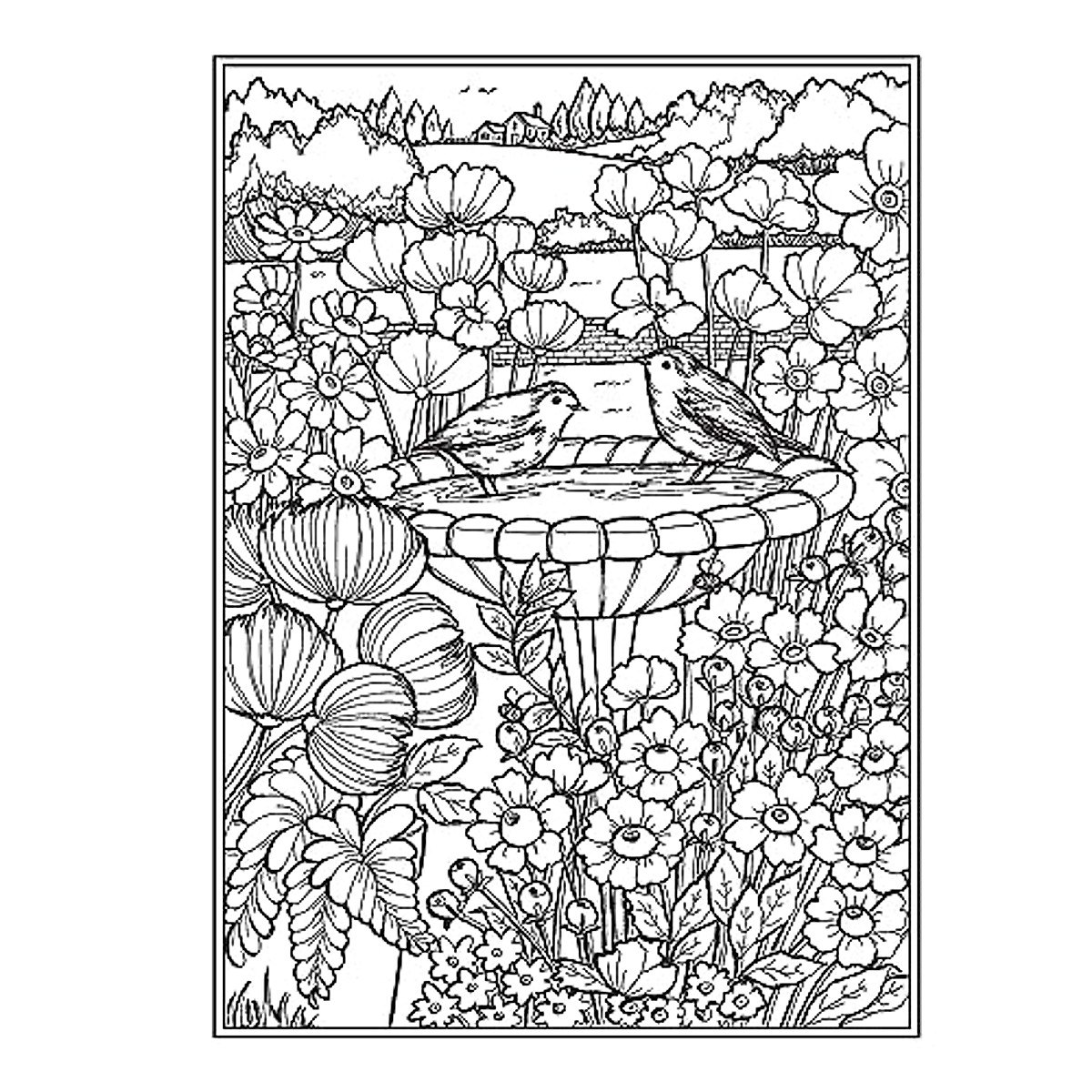 Creative Haven Country Gardens Coloring Book (Adult Coloring Books: In The Country)
