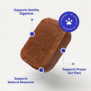 Wonder Paws Probiotics for Dogs – Daily Probiotic Supports Gut Health, Digestion, Gas, Bloating, Constipation, Stomach Relief & Immune Support - With Natural Probiotic & Prebiotic – 90 Probiotic Chews