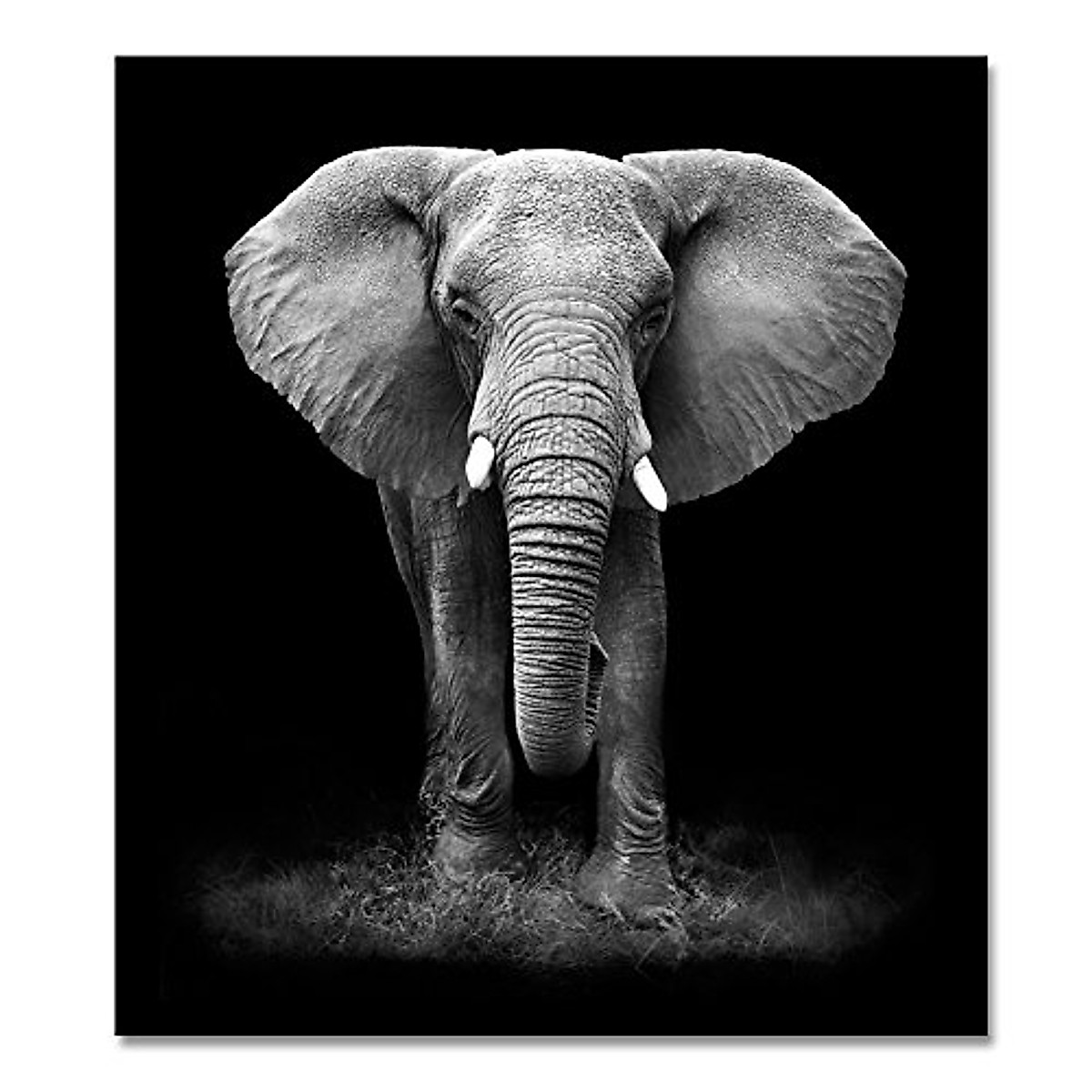Inzlove Large Size Modern Animal Painting Black and White Elephant Canvas Wall Art Print for Living Room Decor (Framed 30x40inch)