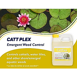 Sanco Industries Catt Plex Herbicide - Aquatic Grade - Works on Cattails, Pond Weeds, Water Lilies, Grass - One Quart 32oz