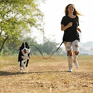 Tiesenci Hands Free Dog Leash Crossbody 8' 9-in-1 Waist Leash for Dog Walking Adjustable Waterproof Dog Leash for Swimming Running No Pull Dog Harness and Leash Set (Large, 20-120 lbs, Matte Black)