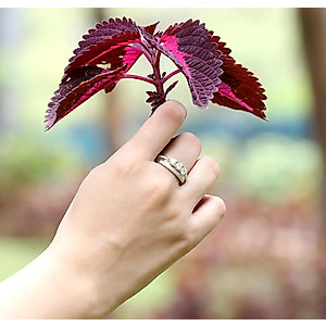 Dazzlingrock Collection 1.00 Carat (Cttw) 14K Round Diamond 3 Stone Engagement Ring Set 1 CT, Yellow Gold, Size 7.5