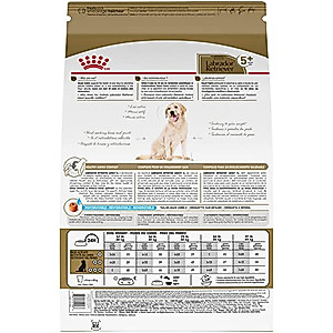 Royal Canin Breed Health Nutrition Labrador Retriever Adult Dry Dog Food