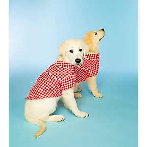 Doggy Parton Red Gingham Western Collared Shirt for Pets - XS
