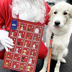 Best Bully Sticks 2024 Dog Advent Calendar with Dog Treats - 24 Days of Joy - All-Natural Chicken & Beef Treats & Chews - Healthy Dog Treats in Holiday Dog Gift Box for Pets