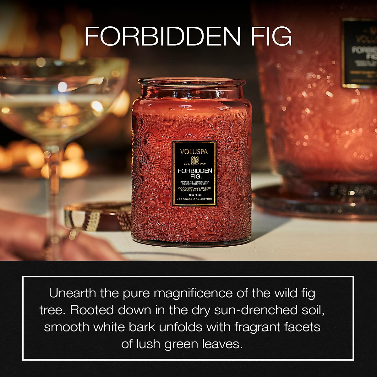 Voluspa Forbidden Fig, Large Candle Jar, 18 oz, 100 Hour Burn Time, Coconut Wax for Clean Burning, Handcrafted in the USA