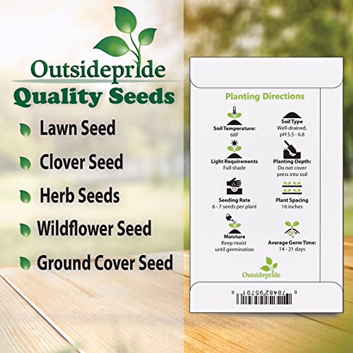 Outsidepride Achillea Yarrow Summer Berries Garden Flowers for Cutting, Dried Arrangements - 1000 Seeds