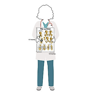 Foot and Ankle, Hand and Wrist, Shoulder and Elbow, Hip and Knee Anatomical Poster Set, size 12Wx17T