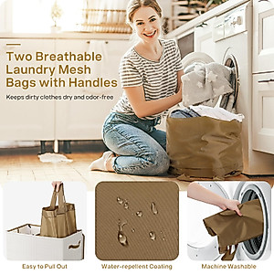 SOLEDI Double Laundry Hamper with Lid 34 Gal (130L) Water-resistant, High-tenacity Material Collapsible Laundry Basket with 2 Removable Liner Bags - Large laundry hamper 2 Section