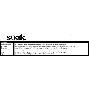 Soak Laundry Soap – No Rinse, Plant Derived Hand Wash Detergent - 90 ml / 3 fl. oz, (Lacey)