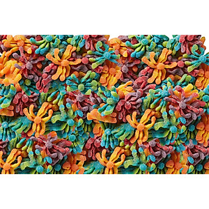 Trolli Sour Brite Octopus, Sour Gummy Candy, 5 Pound Bulk Bag