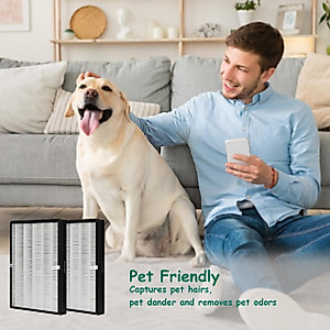 Asheviller TT-AP003 Filter Replacement, Compatible with TaoTronics TT-AP003 and VIVOSUN 5-in-1 Air Purifiers, 2 Pack