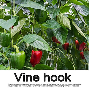 DAMEING Plant Climbing Hooks, Tomato Support J Hook Garden Hooks to Prevent Tomatoes from Pinching or Falling Off (20Pcs)