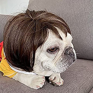 DooMase Funny Pet Clothing Pet Wig Pet Halloween Special Events Costume for Dog & Cat (Flaxen Wig, One Size)