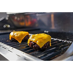 Monument Grills 2 Burners Propane Gas Grill Outdoor Cooking Stainless Steel BBQ Grills with LED Controls, Black