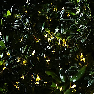 String Lights 100 Led Clear Mini Fairy Lights Christmas Lighting Decor AC 120V 35ft for Outdoor, Indoor, Garden, Patio, Lawn, Holiday, Bedroom Wedding Xmas