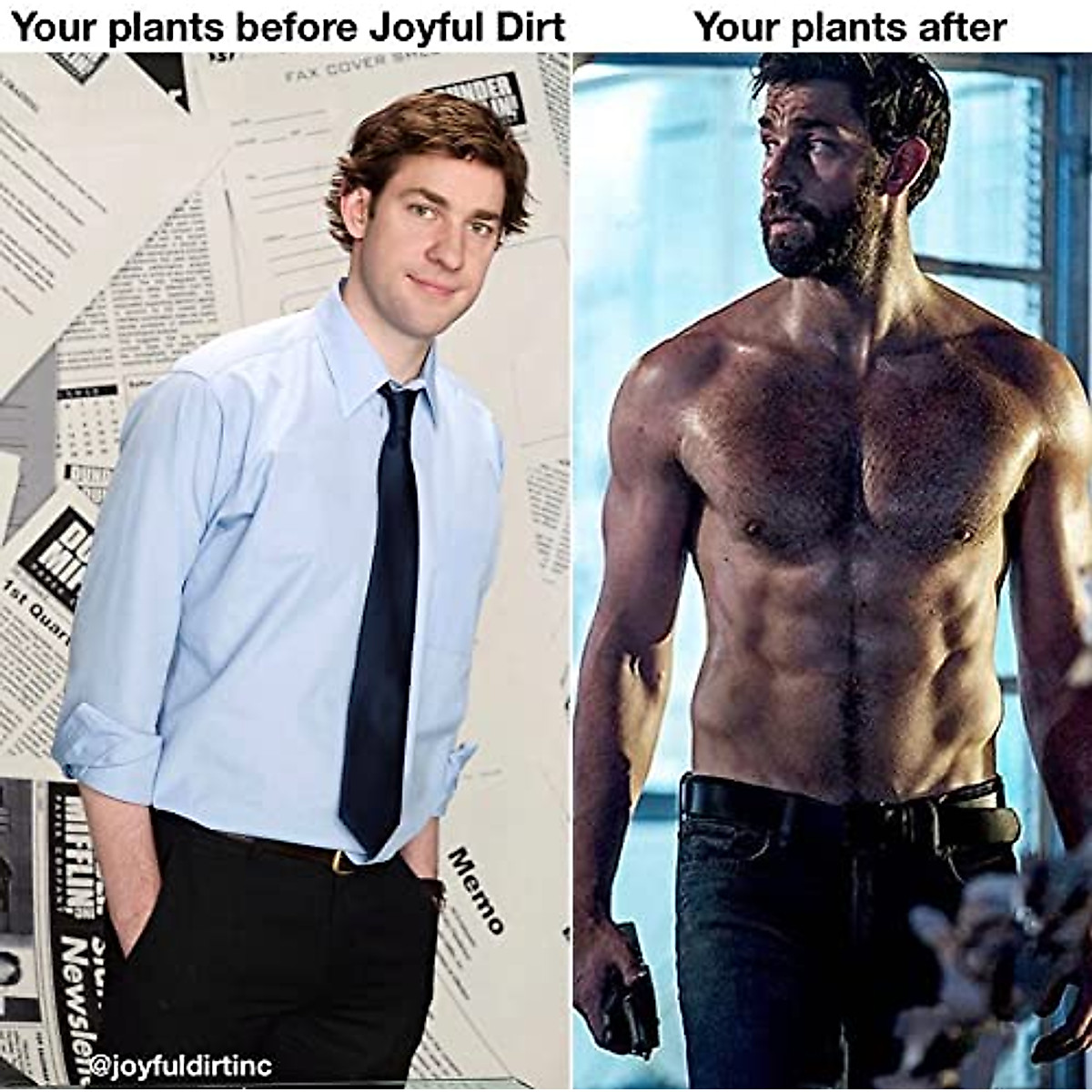 Houseplant Superfood and Fertilizer | Makes 4 Gallons | Organic Premium Concentrate | Easy Use 3oz (1 Shaker)