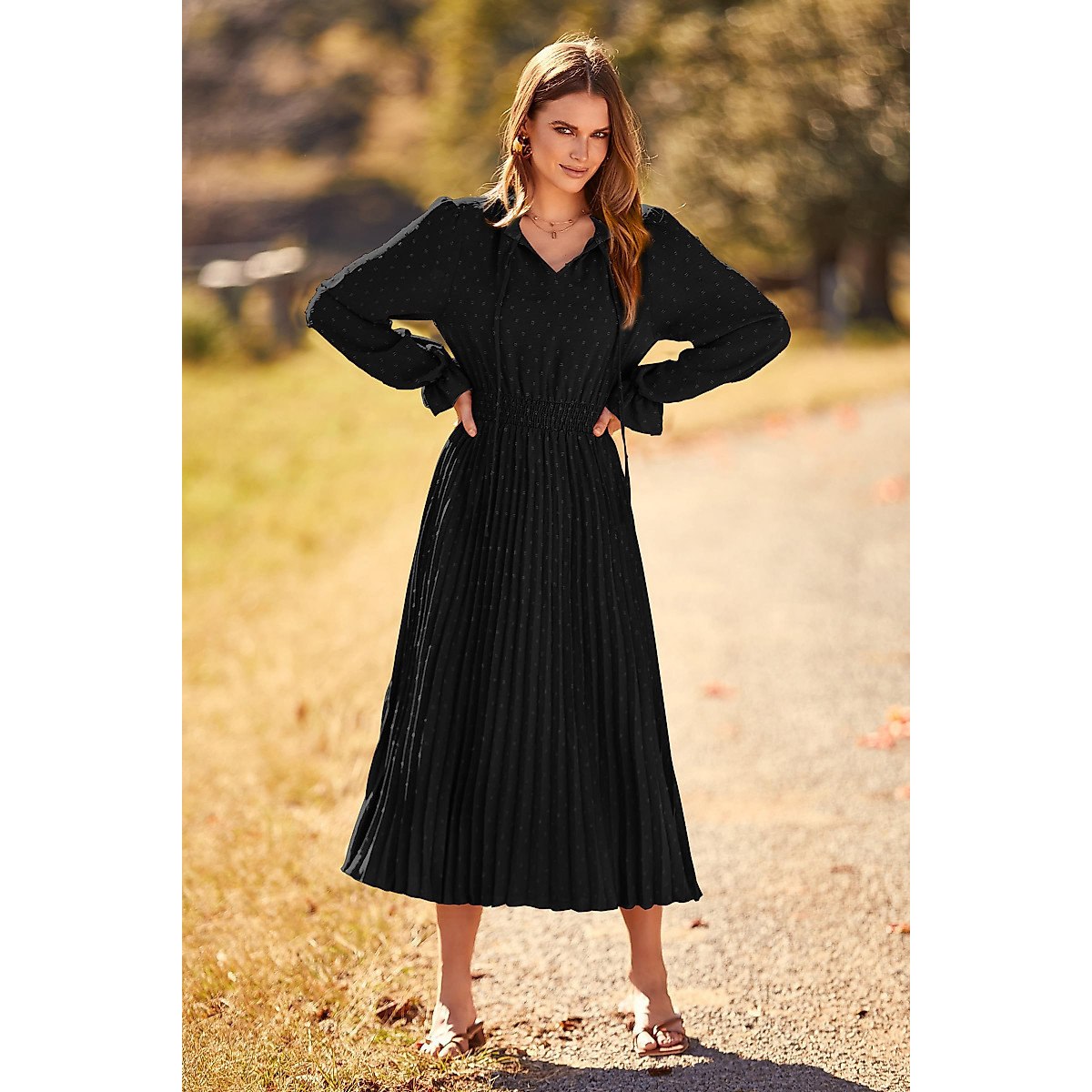PRETTYGARDEN Women's 2024 Fall Midi Dress Casual Long Sleeve V Neck Swiss Dot Pleated A Line Flowy Dresses (Black,Large)
