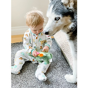 HugSmart Pet - Dinosaur Land | Squeaky Plush Dog Toys for Small Medium Dogs| Textured Sandwich Mesh Cute Teething Toys for Puppies