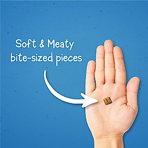 Purina Puppy Chow Training Treats, Healthy Start Salmon Treats - 24 oz. Pouch