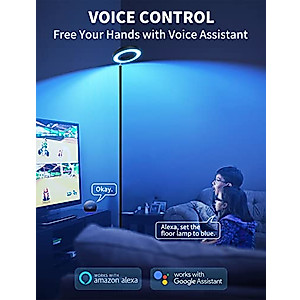 XMCOSY+ Floor Lamp, 2400LM Smart RGBW LED Standing Lamp with Modern Double-Side Lighting, WiFi APP Control, Works with Alexa, 2700K-6400K Color Changing Dimmable Tall Lamps for Living Room Bedroom